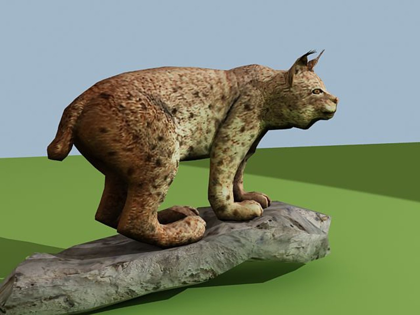 3d Lynx Cat Model