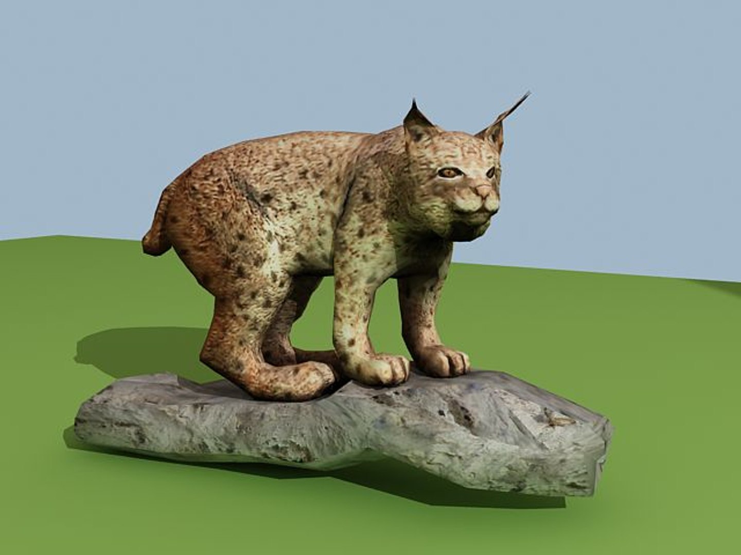 3d Lynx Cat Model