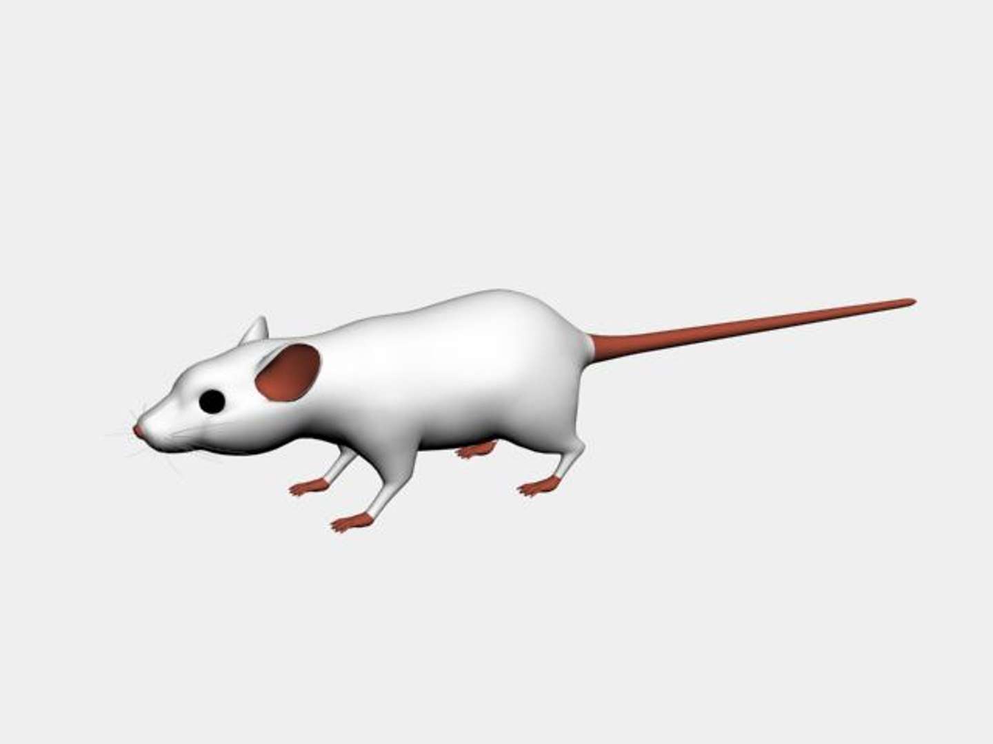 Realistic Mouse 3d Model