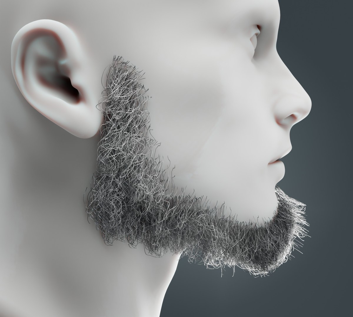 Beard RealTime 3 Version 2 3D - TurboSquid 1892325