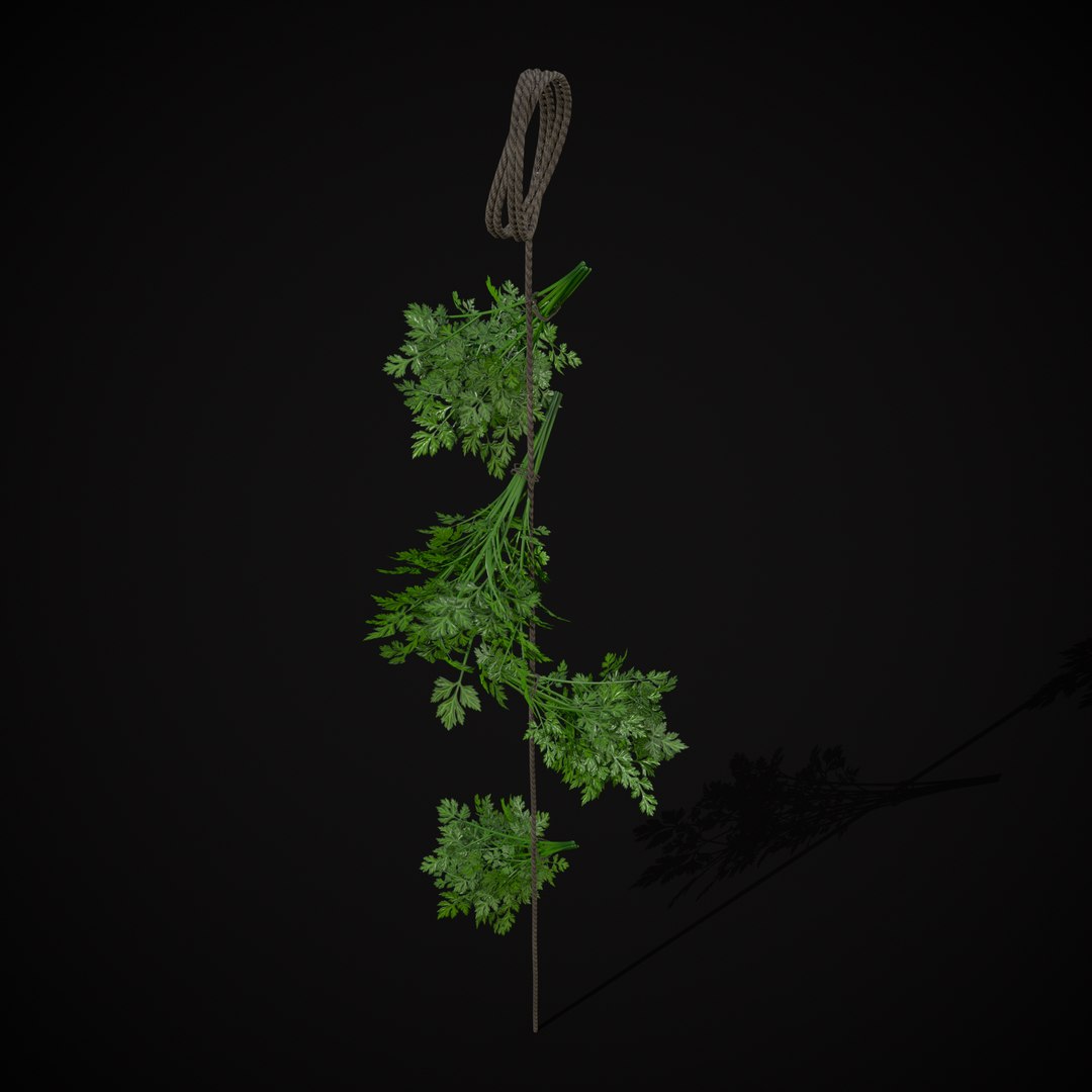 3D Hanging Parsley Model - TurboSquid 2202918
