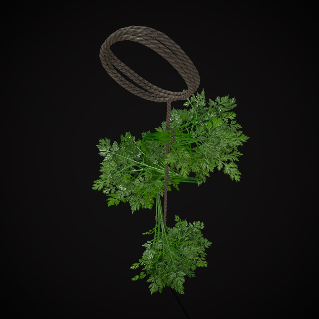 3D Hanging Parsley Model - TurboSquid 2202918