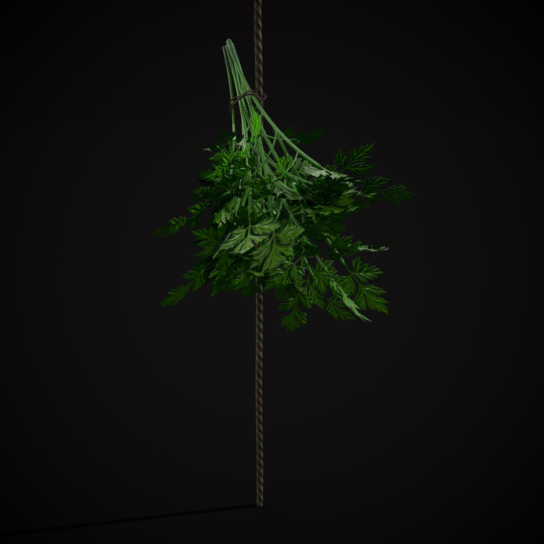 3D Hanging Parsley Model - TurboSquid 2202918