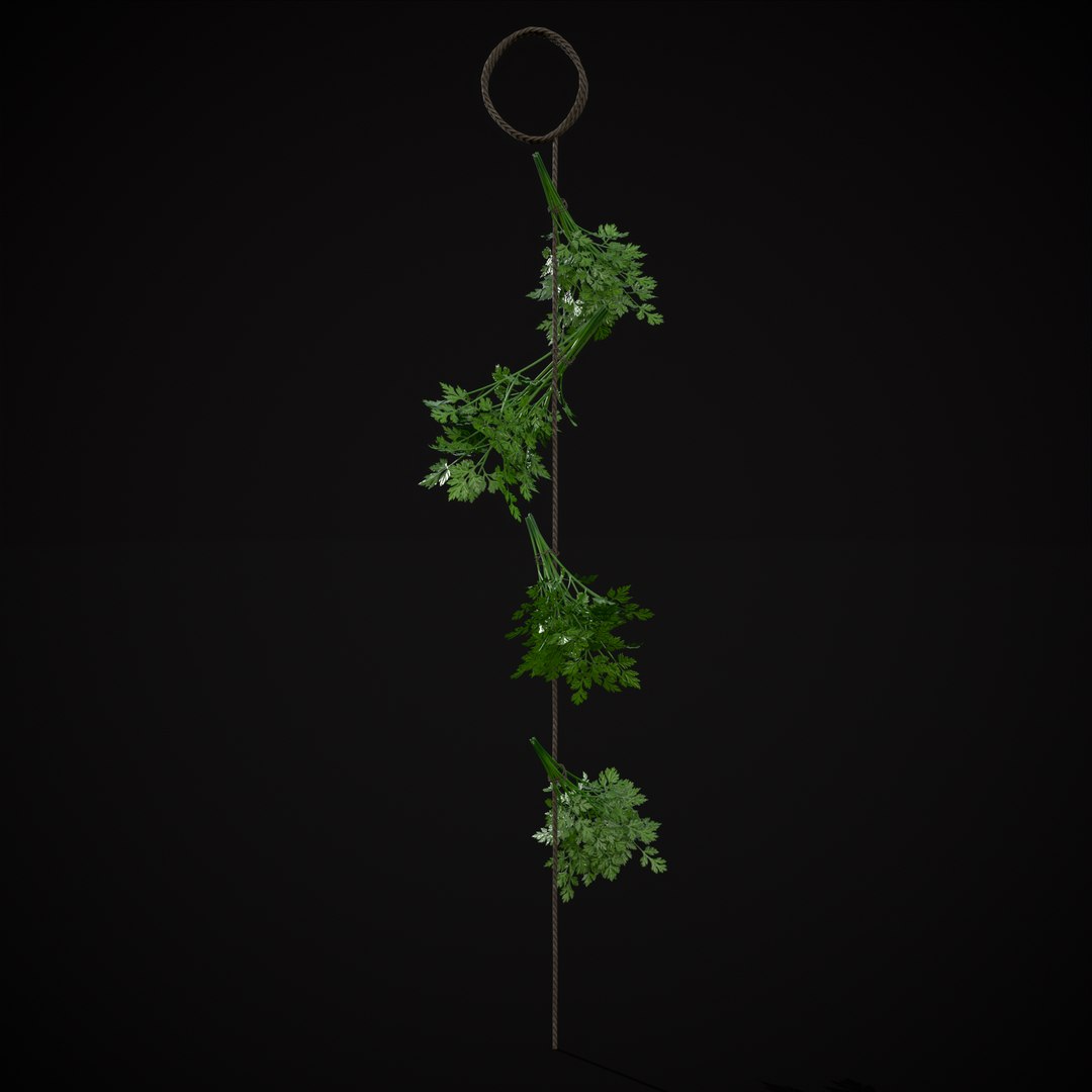 3D Hanging Parsley Model - TurboSquid 2202918