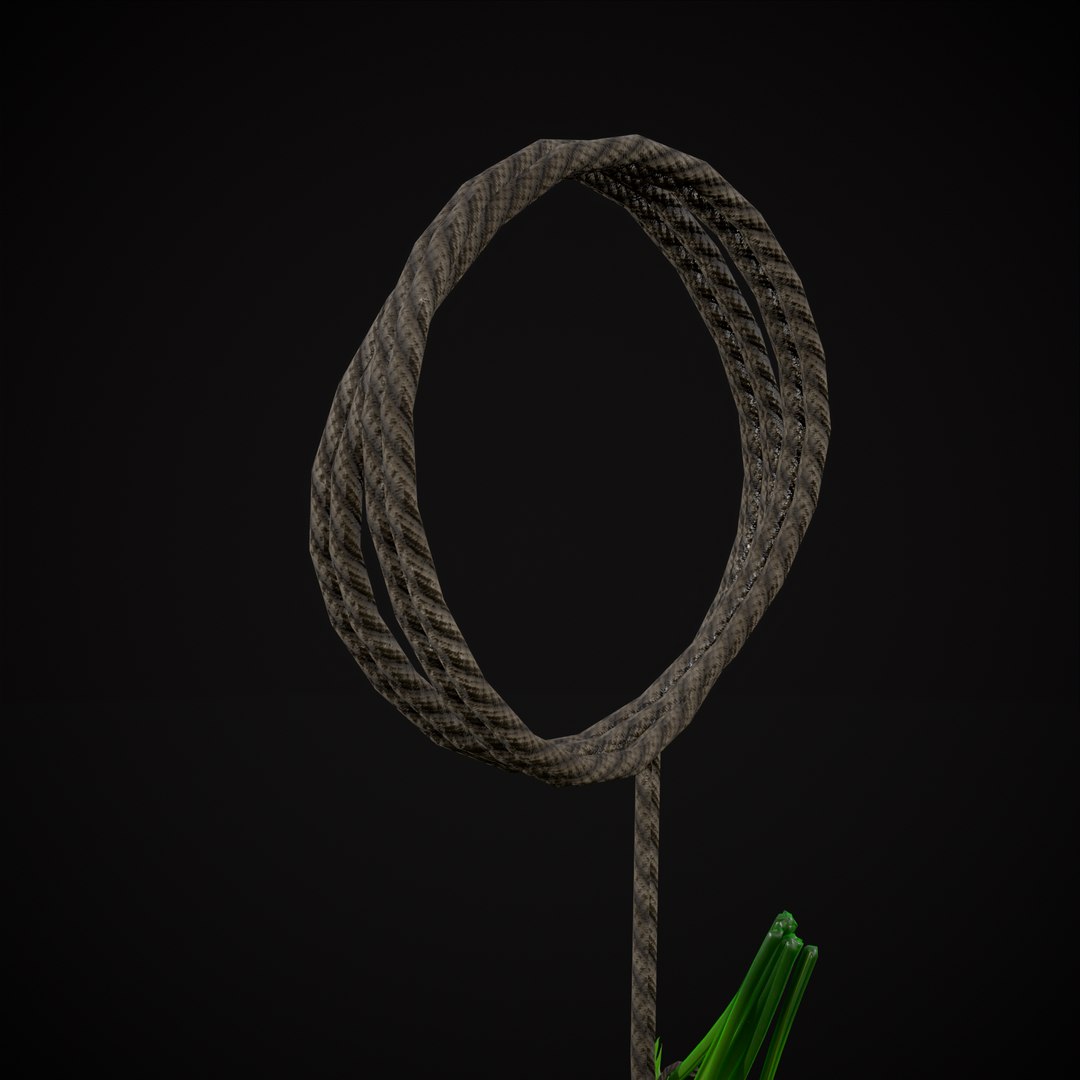 3D Hanging Parsley Model - TurboSquid 2202918