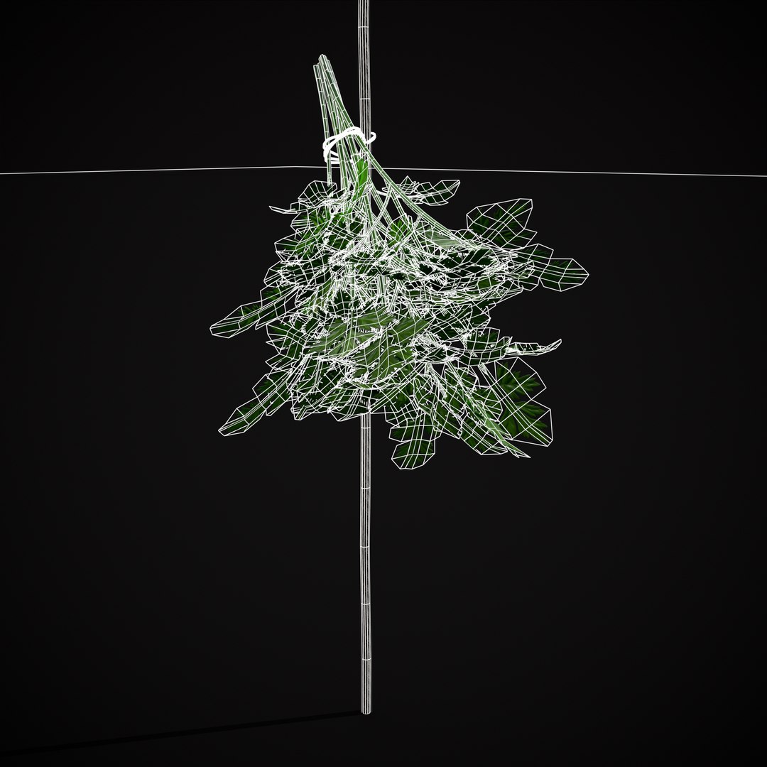 3D Hanging Parsley Model - TurboSquid 2202918