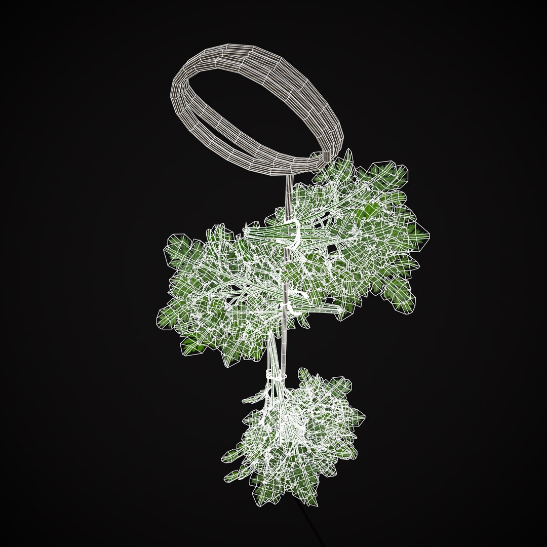 3D Hanging Parsley Model - TurboSquid 2202918