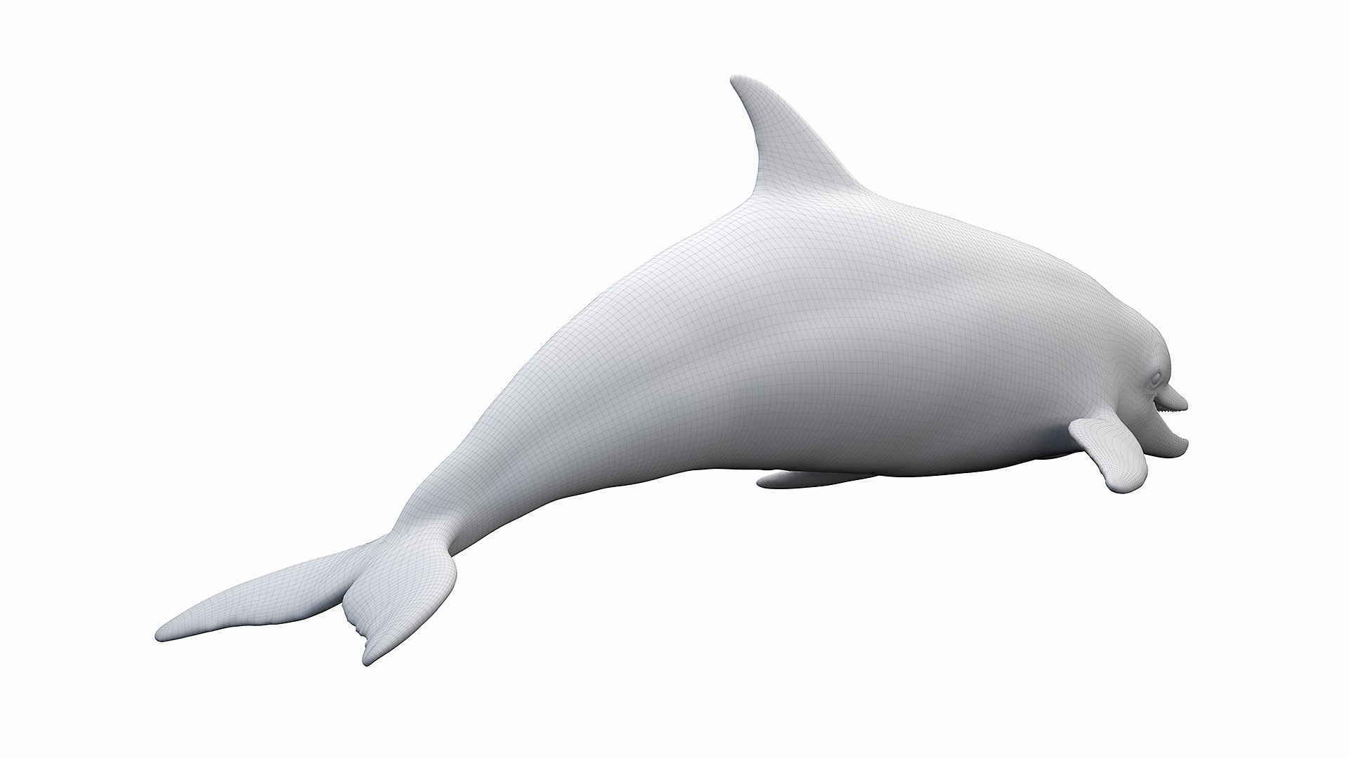 Bottlenose Dolphin 3D Model - TurboSquid 1952944