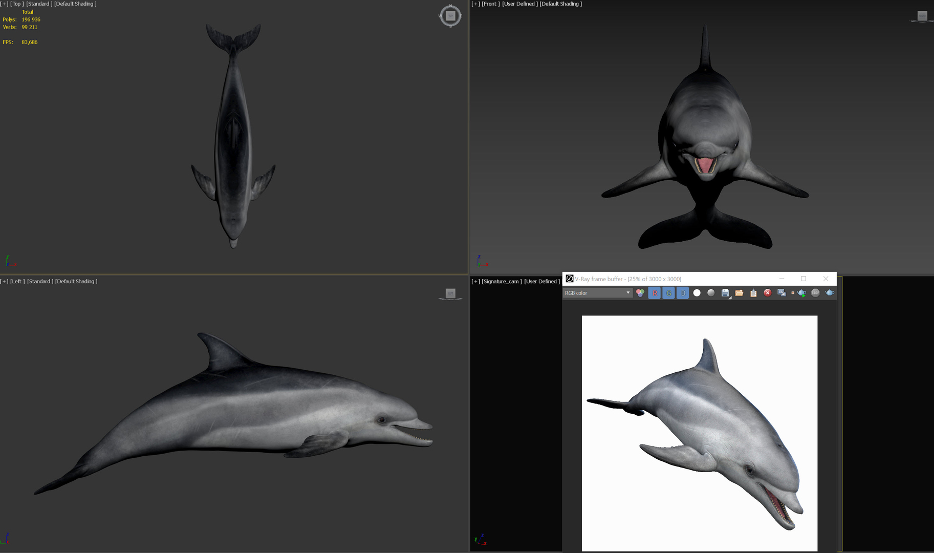 Bottlenose Dolphin 3D model - TurboSquid 1952944