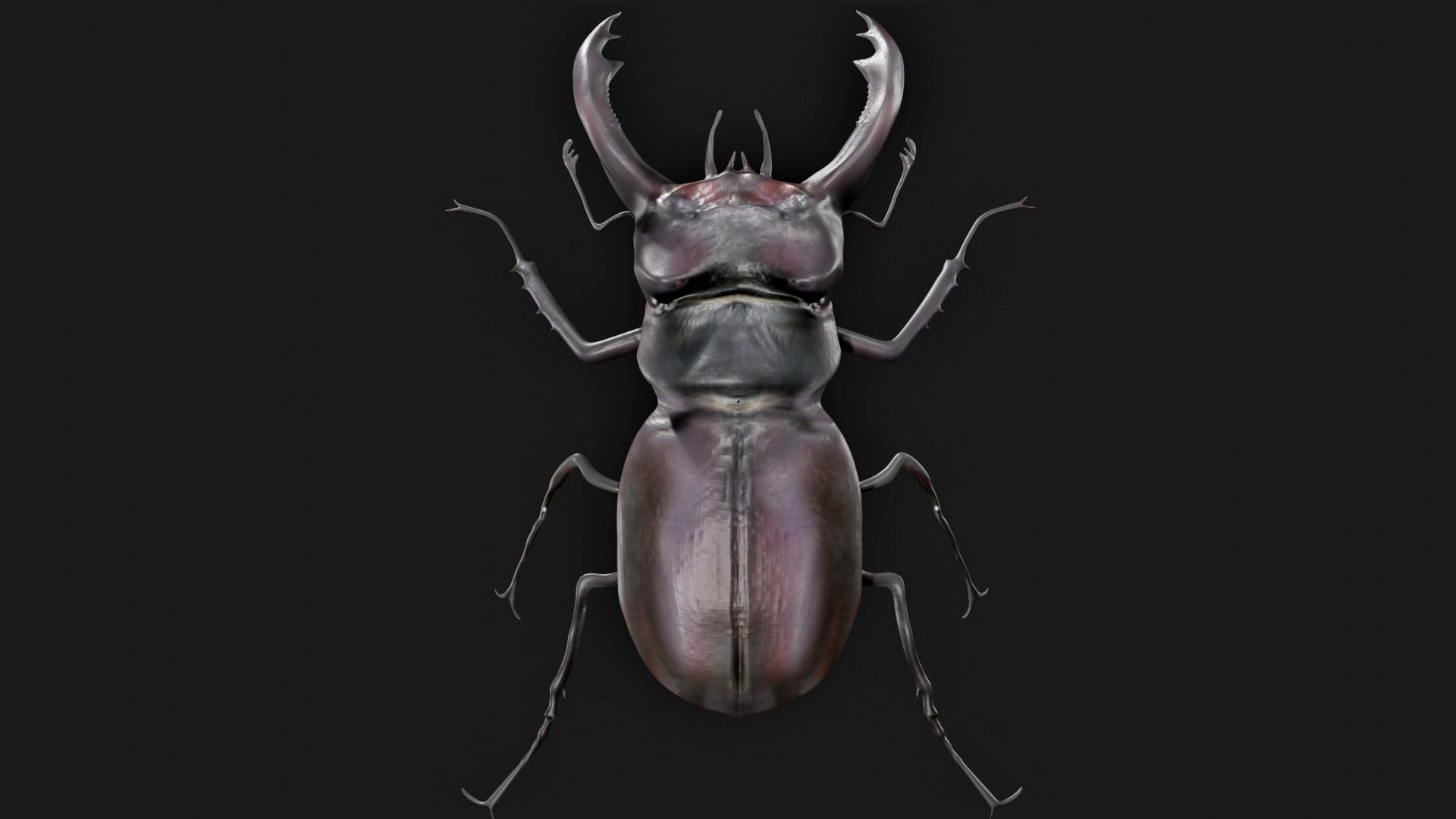 3D Realistic Rigged Stag - TurboSquid 1677360