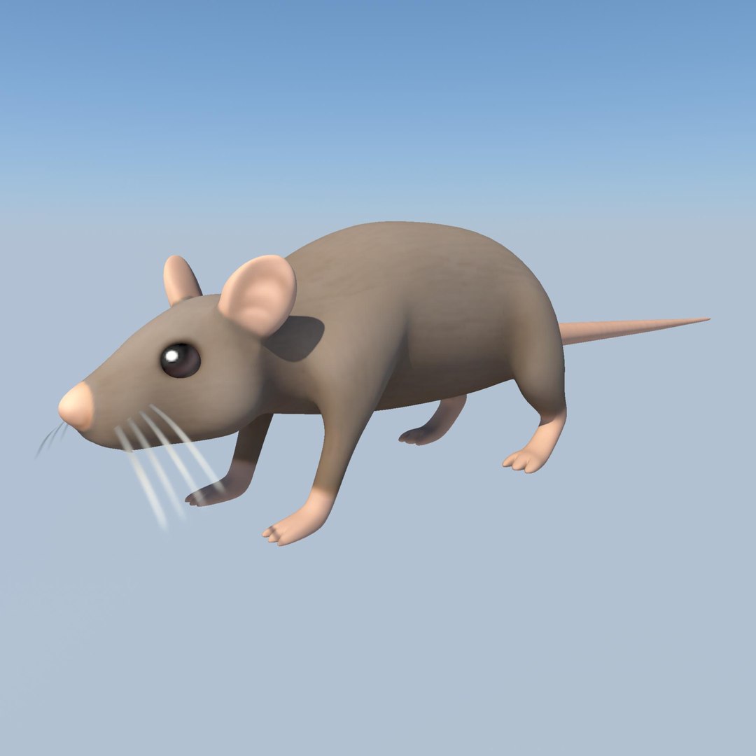 3d Rat