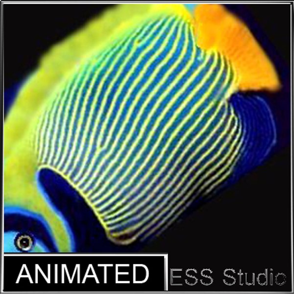 tropical fish 3d fbx