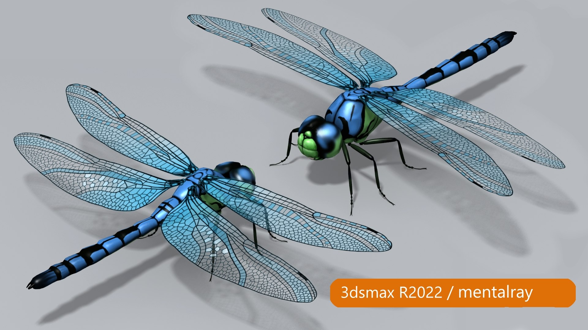 3D Model Dragonfly - TurboSquid 2208819