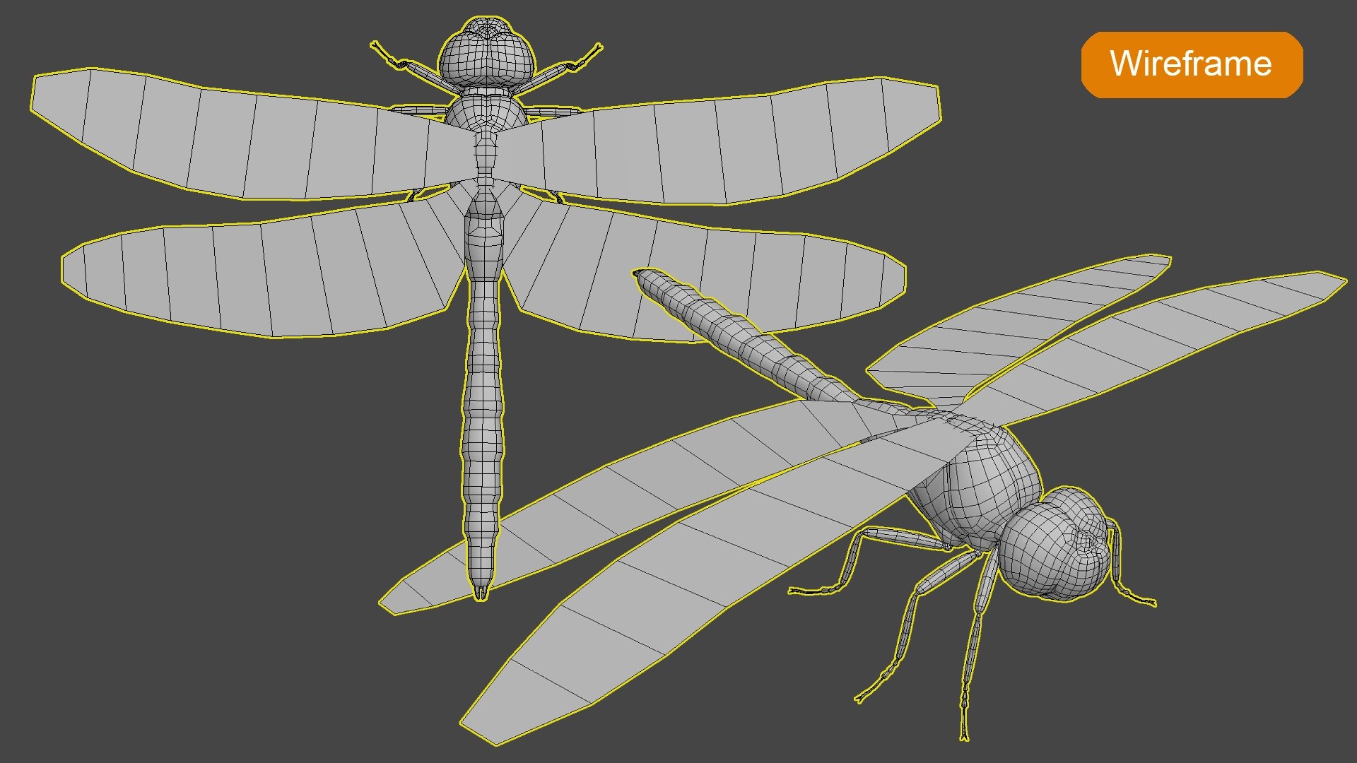 3D Model Dragonfly - TurboSquid 2208819