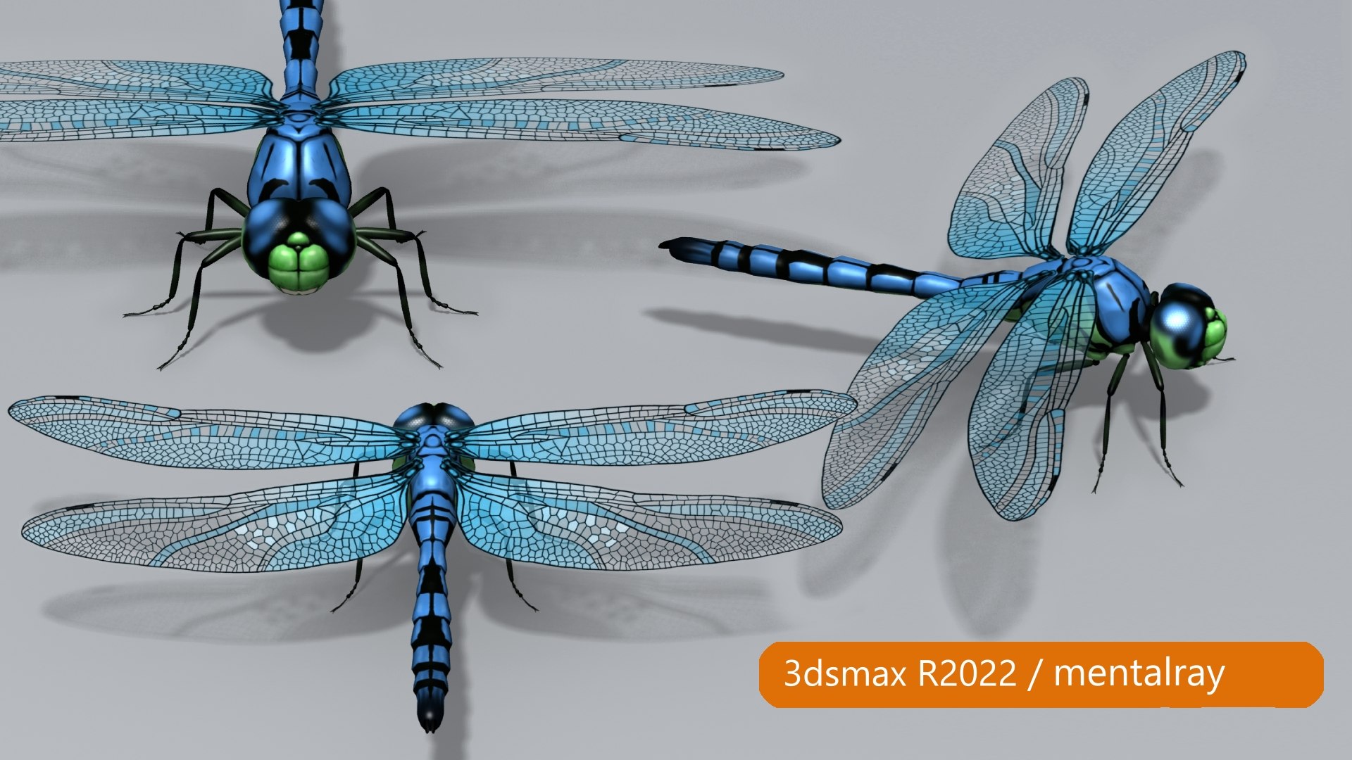 3D Model Dragonfly - TurboSquid 2208819