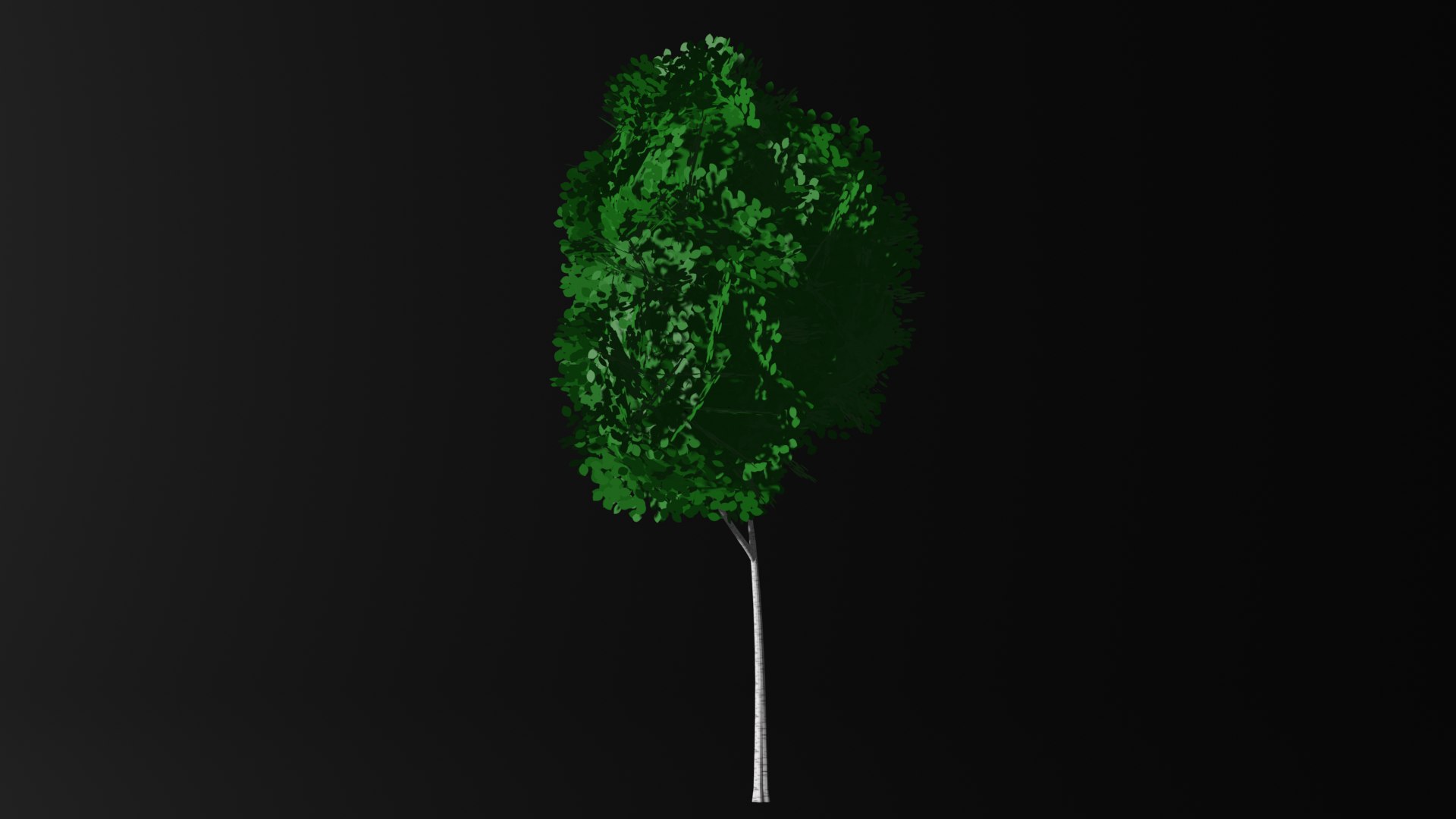 Stylized Birch Trees 3D Model - TurboSquid 2002847