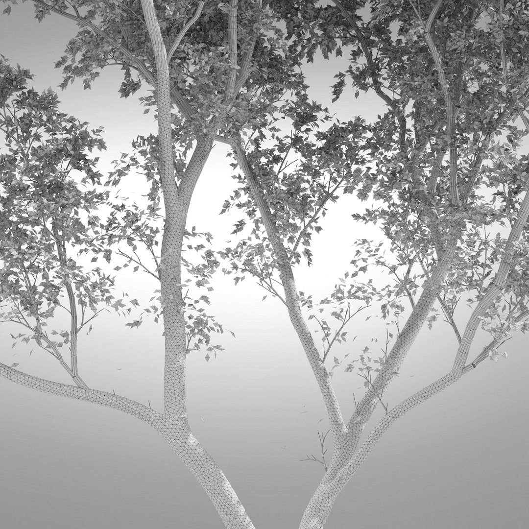 realistic tree 3d max