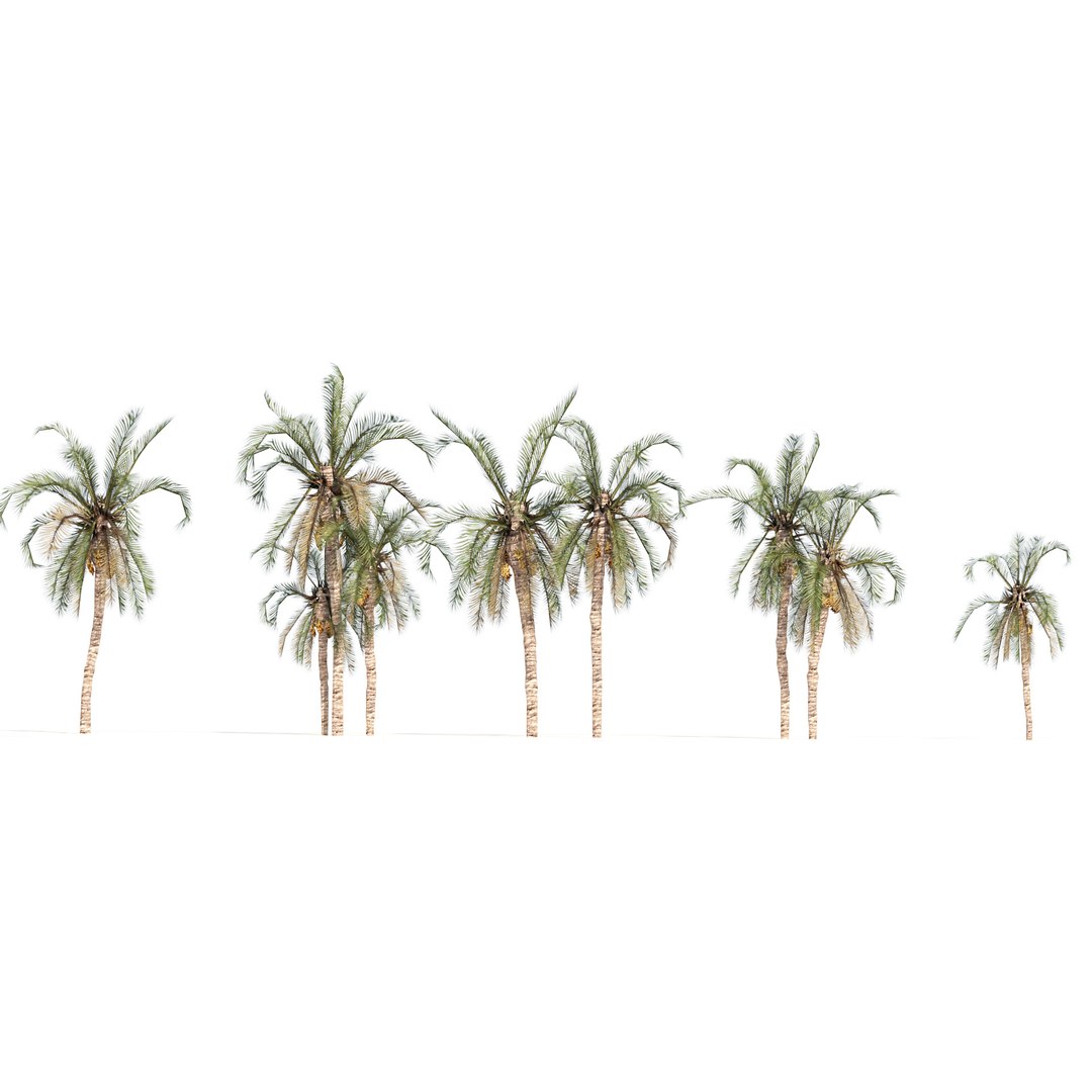3D Street Date Palms Array - TurboSquid 2084086