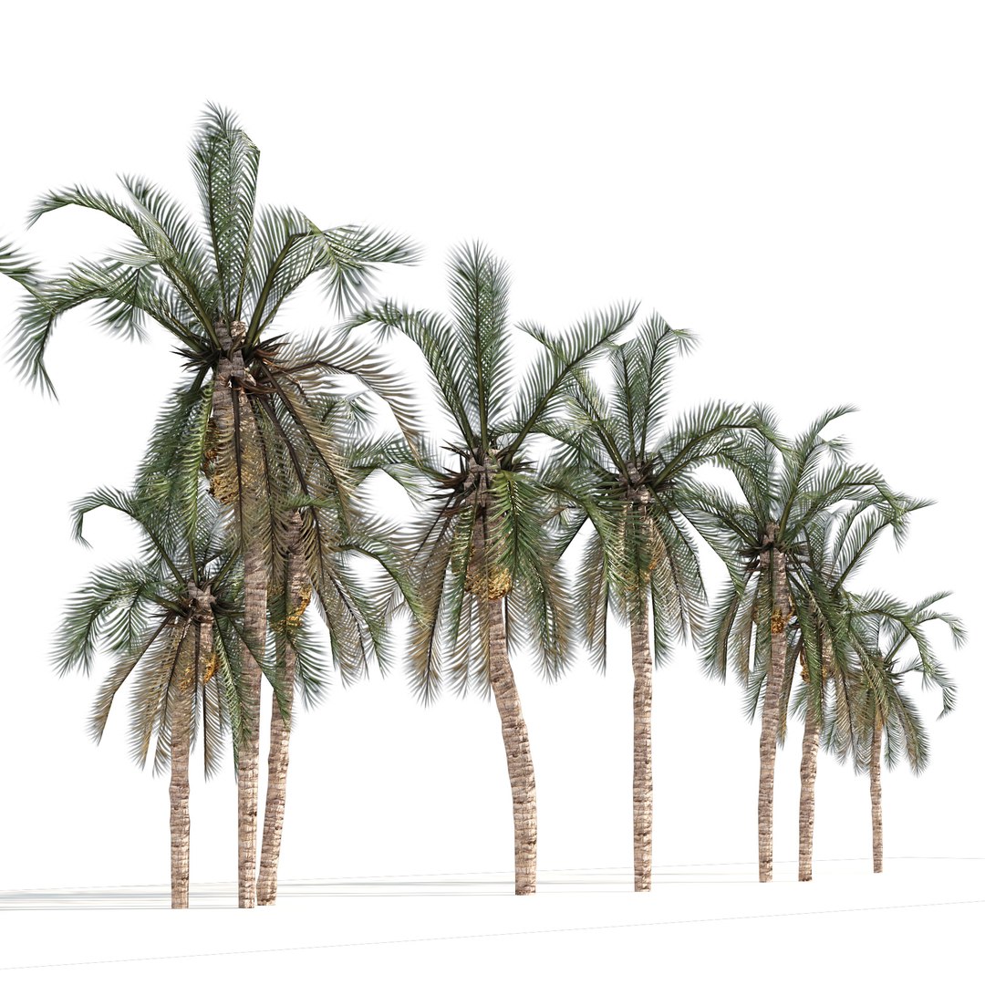 3D Street Date Palms Array - TurboSquid 2084086