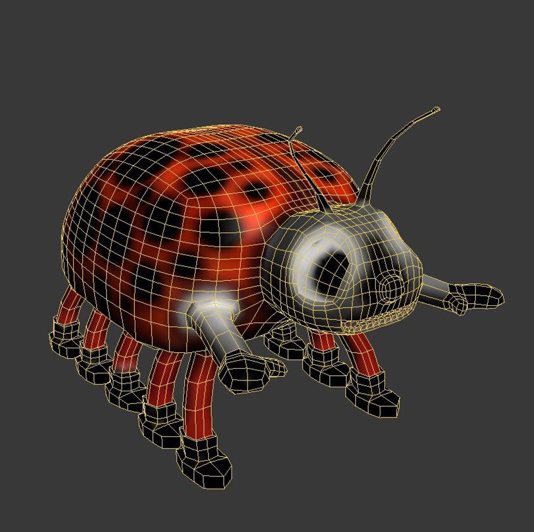 3d Model Beetle Insect