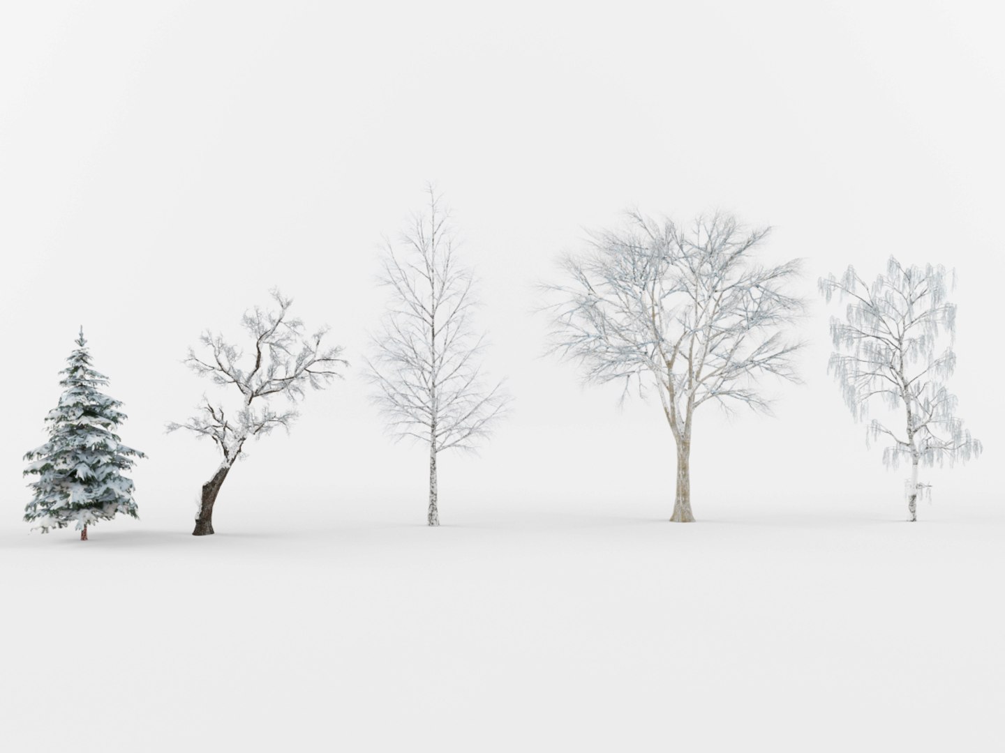 3D Model Winter Trees - TurboSquid 1232628