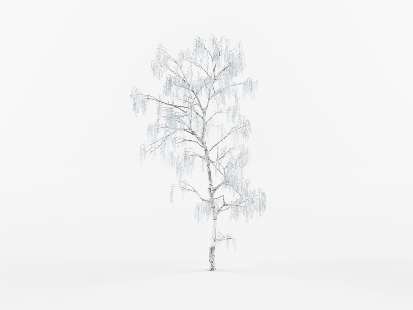 3D Model Winter Trees - TurboSquid 1232628