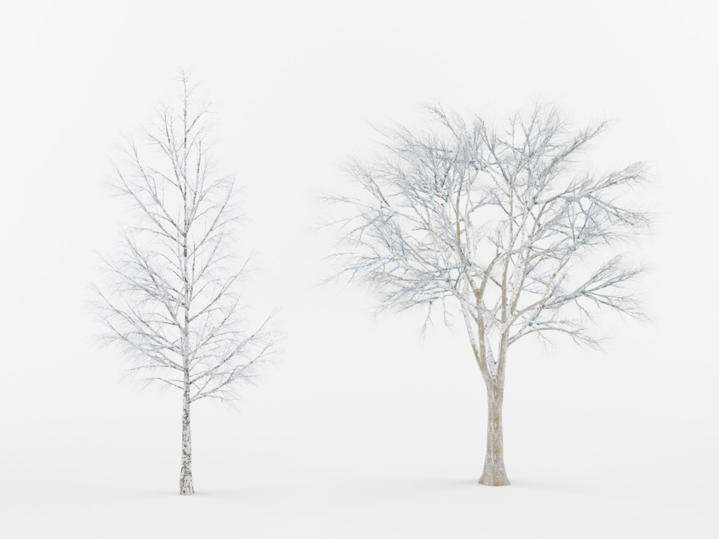 3D Model Winter Trees - TurboSquid 1232628