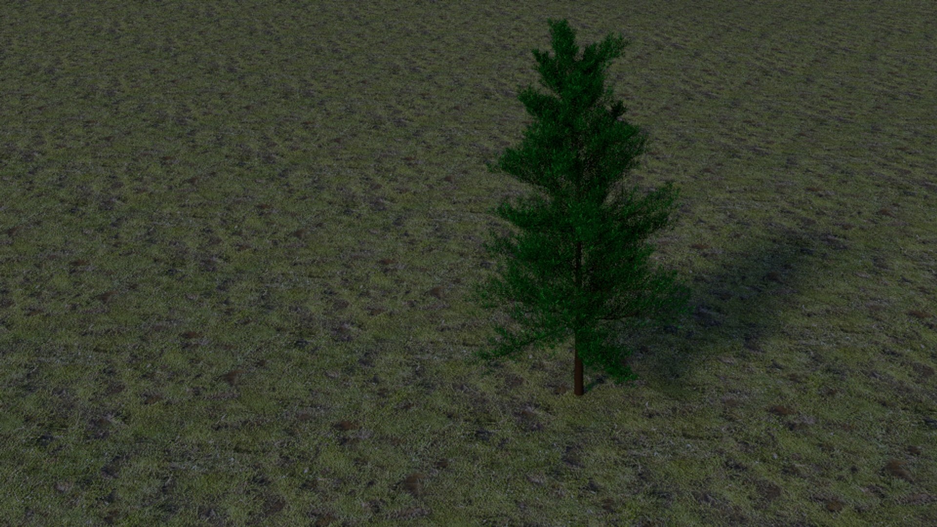 3d pine tree