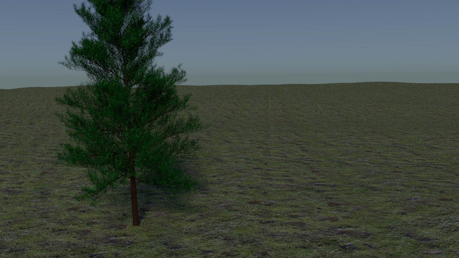 3d pine tree