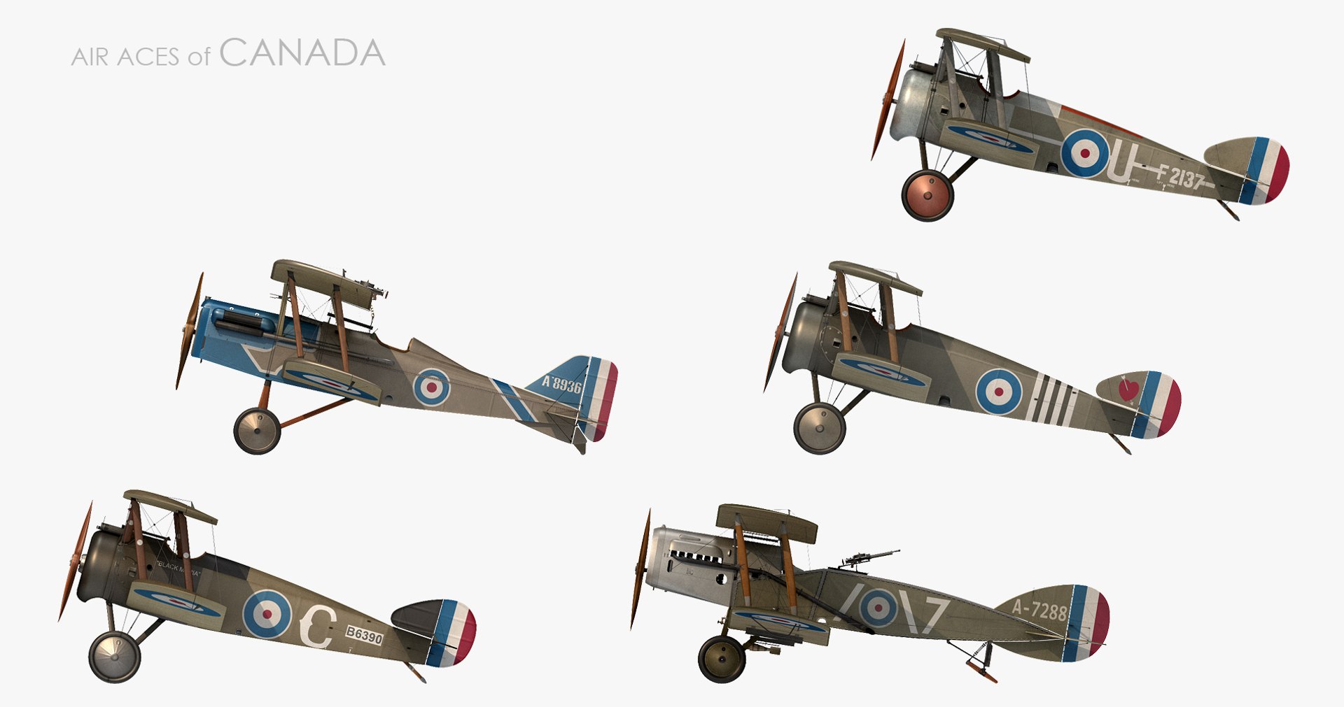 Ww1 Aces Canada Fighter Aircraft Model - TurboSquid 1423922