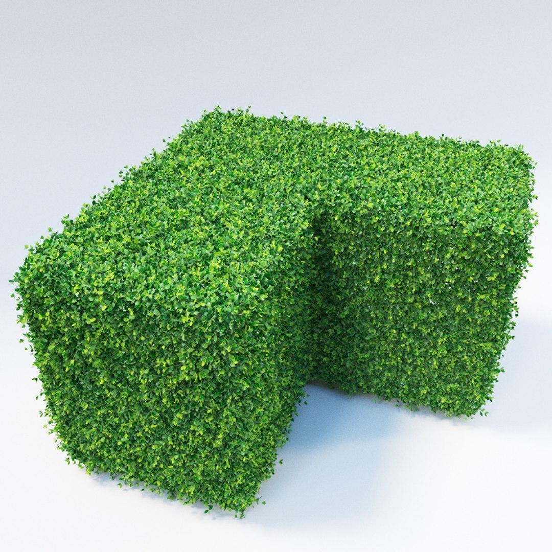 form hedge max