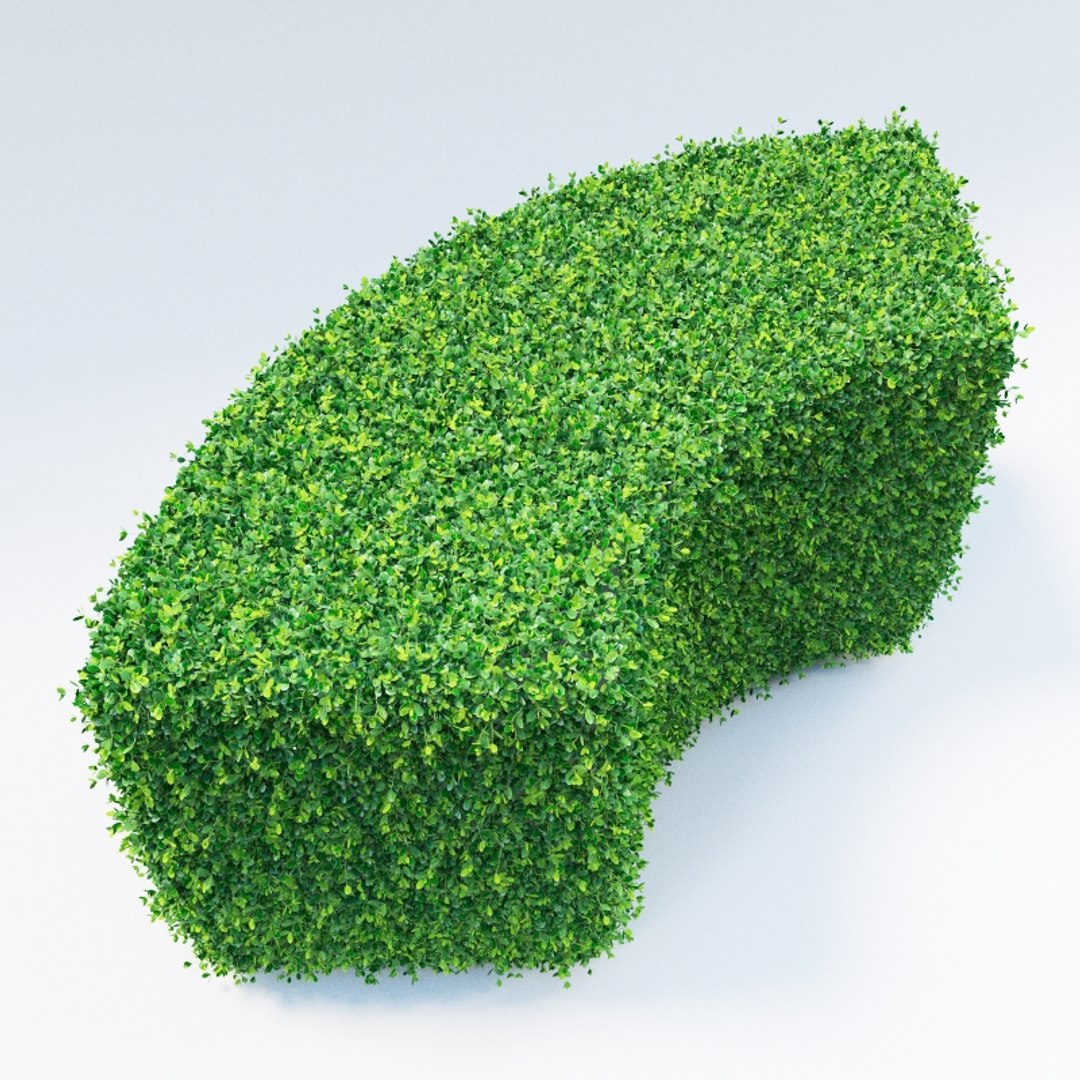 form hedge max