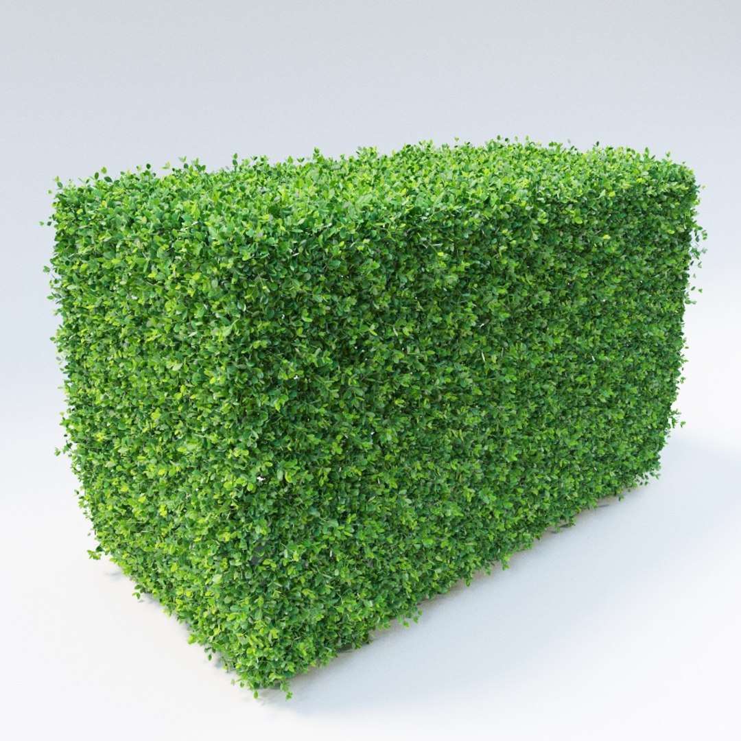 form hedge max