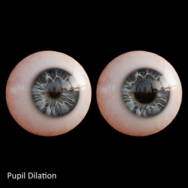 3D Eyes model - TurboSquid 1794735