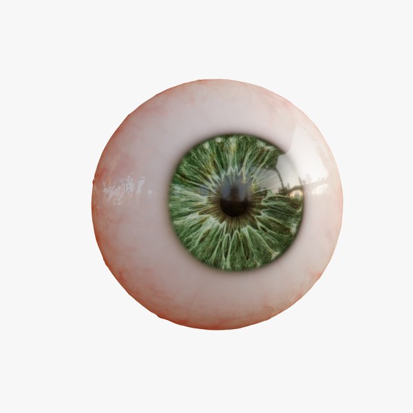 Free Blender Eye Models | TurboSquid