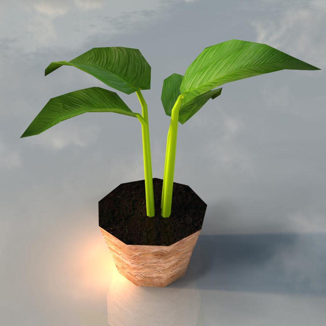 3d Plant Model