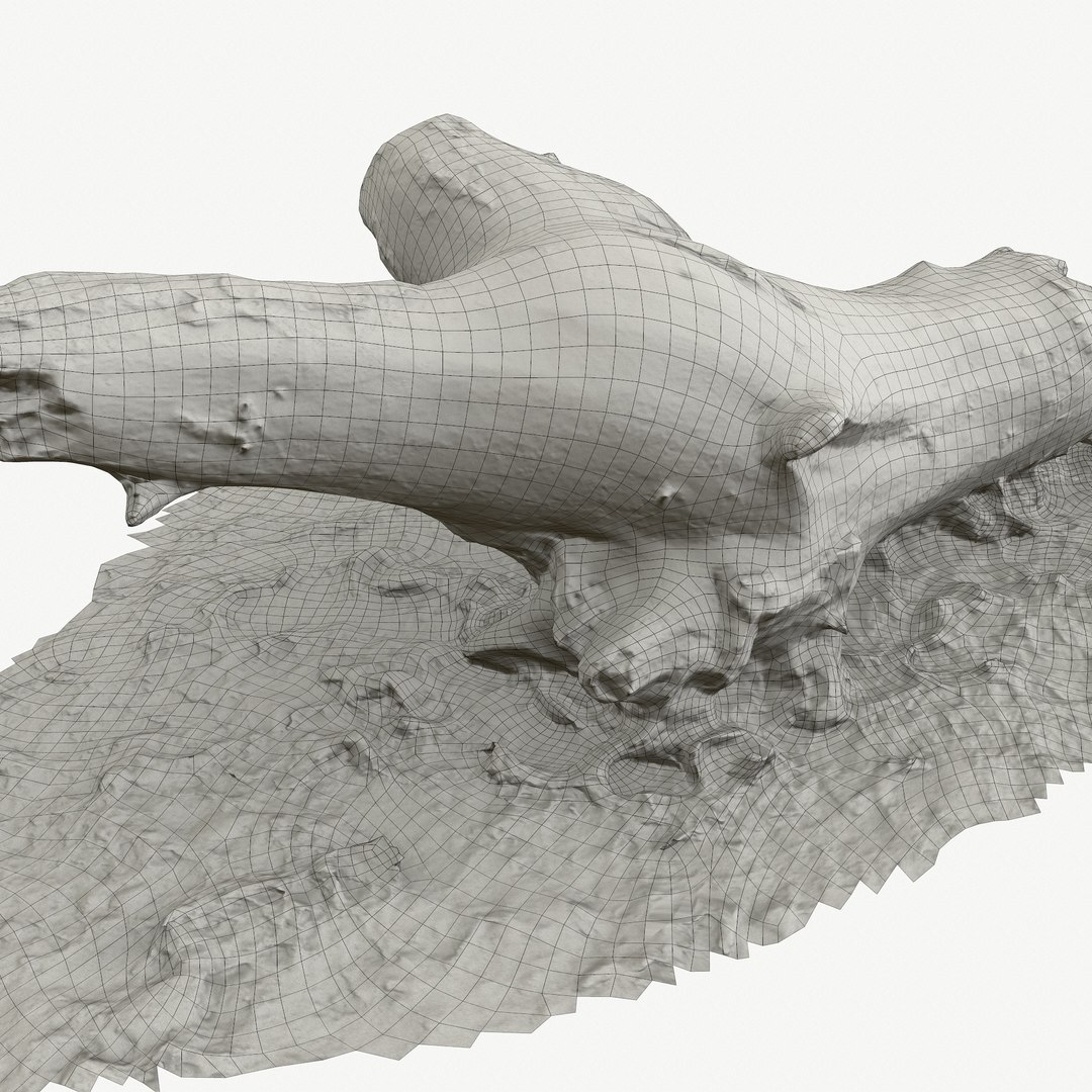 Scan bpr tree stump 3D - TurboSquid 1636810