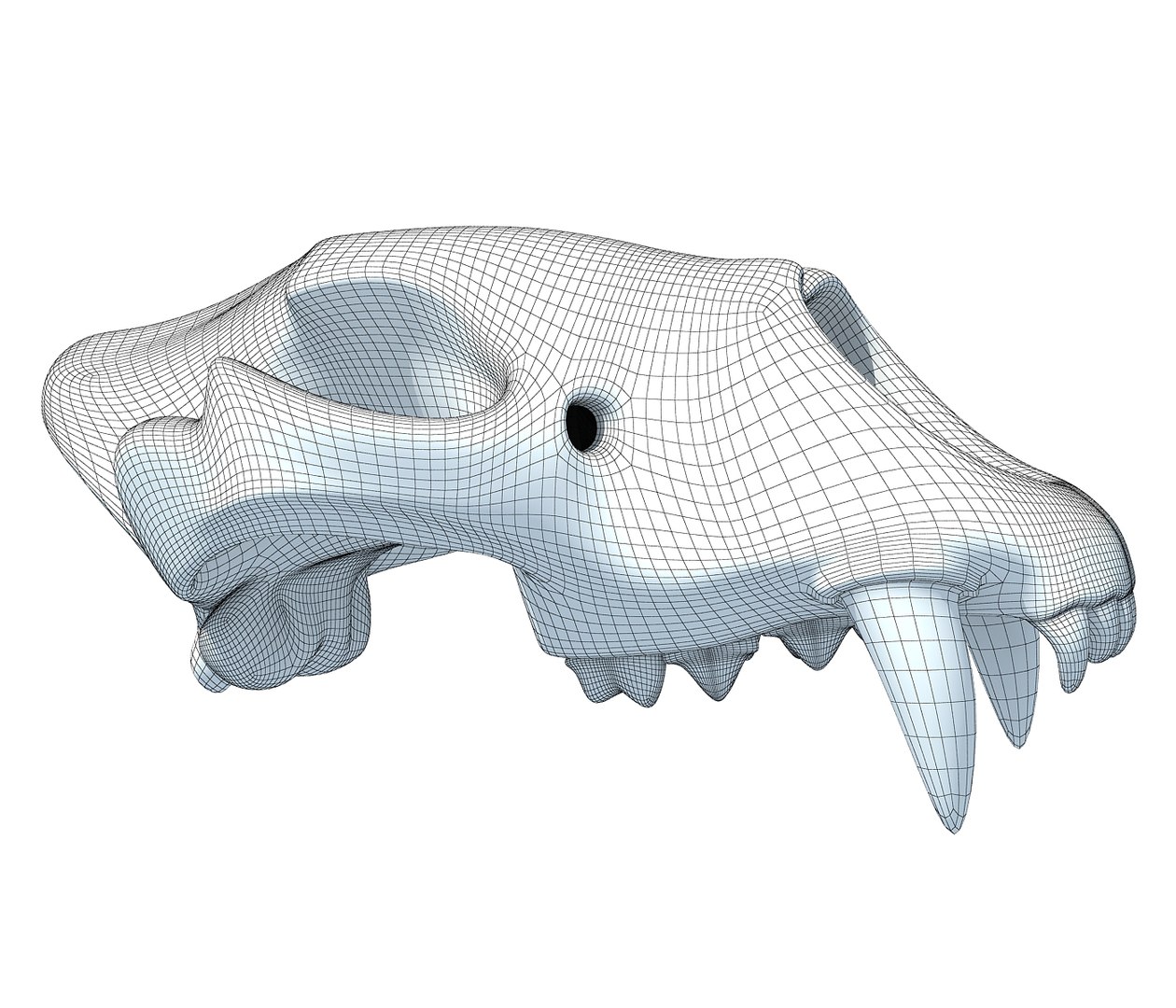 3D Lion Skull Model - TurboSquid 1177700