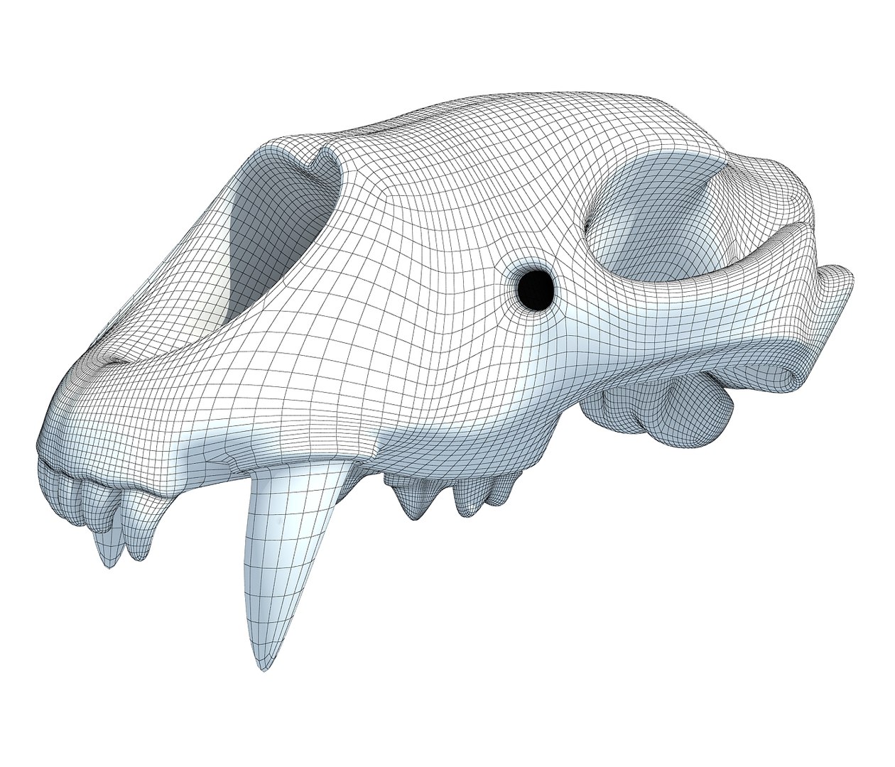 3D Lion Skull Model - TurboSquid 1177700