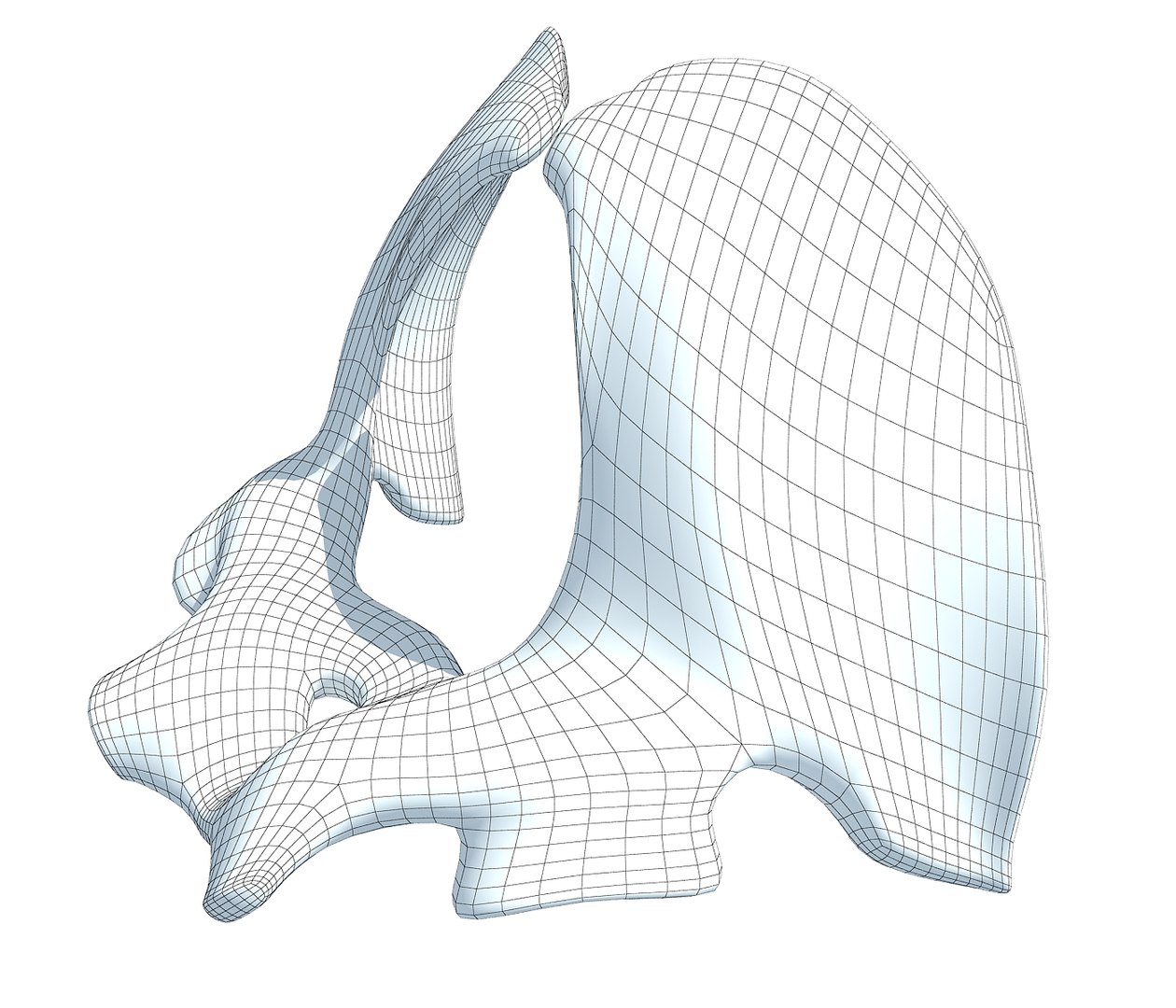 3D Model Animal Pelvis - TurboSquid 1177880