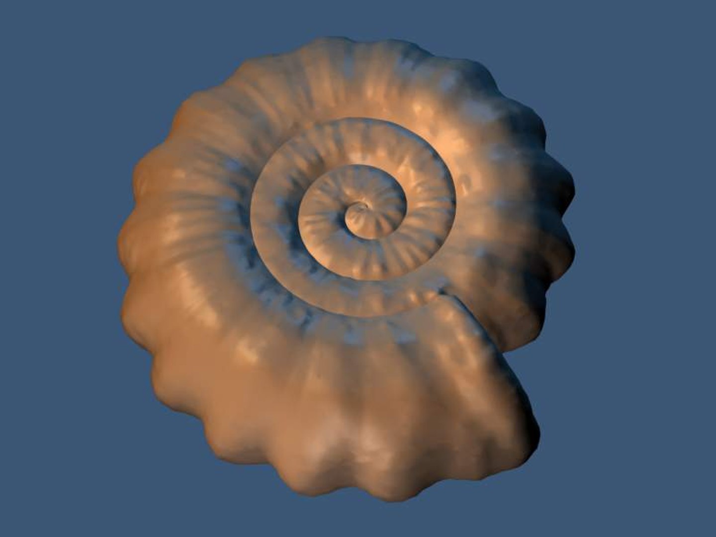 3d Prehistoric Sea Shell