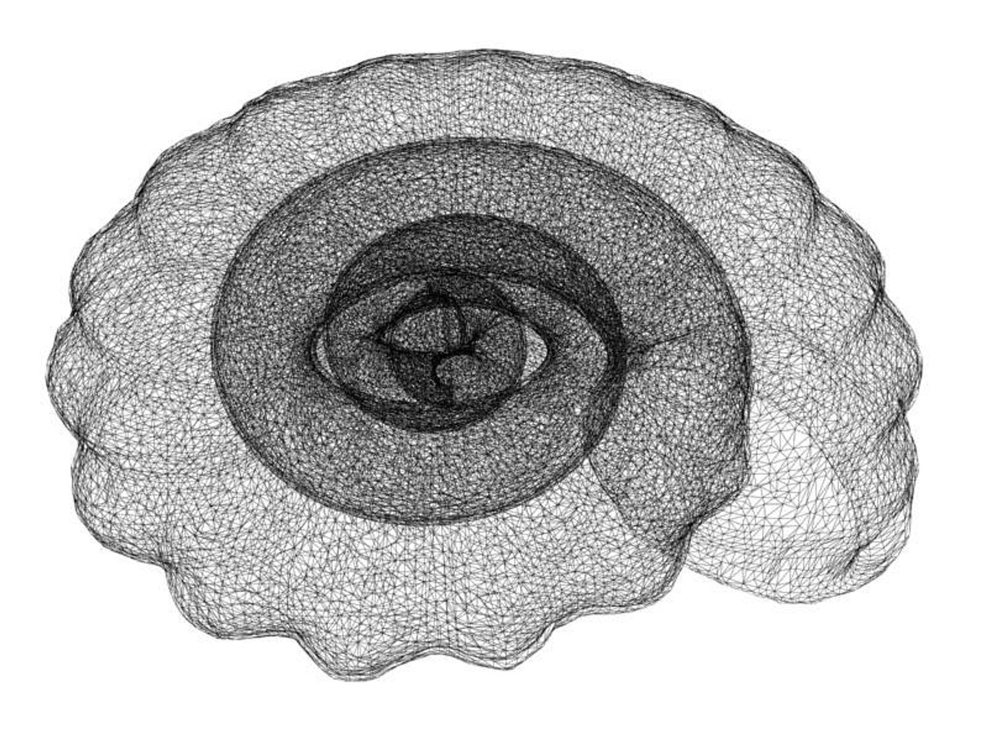 3d Prehistoric Sea Shell