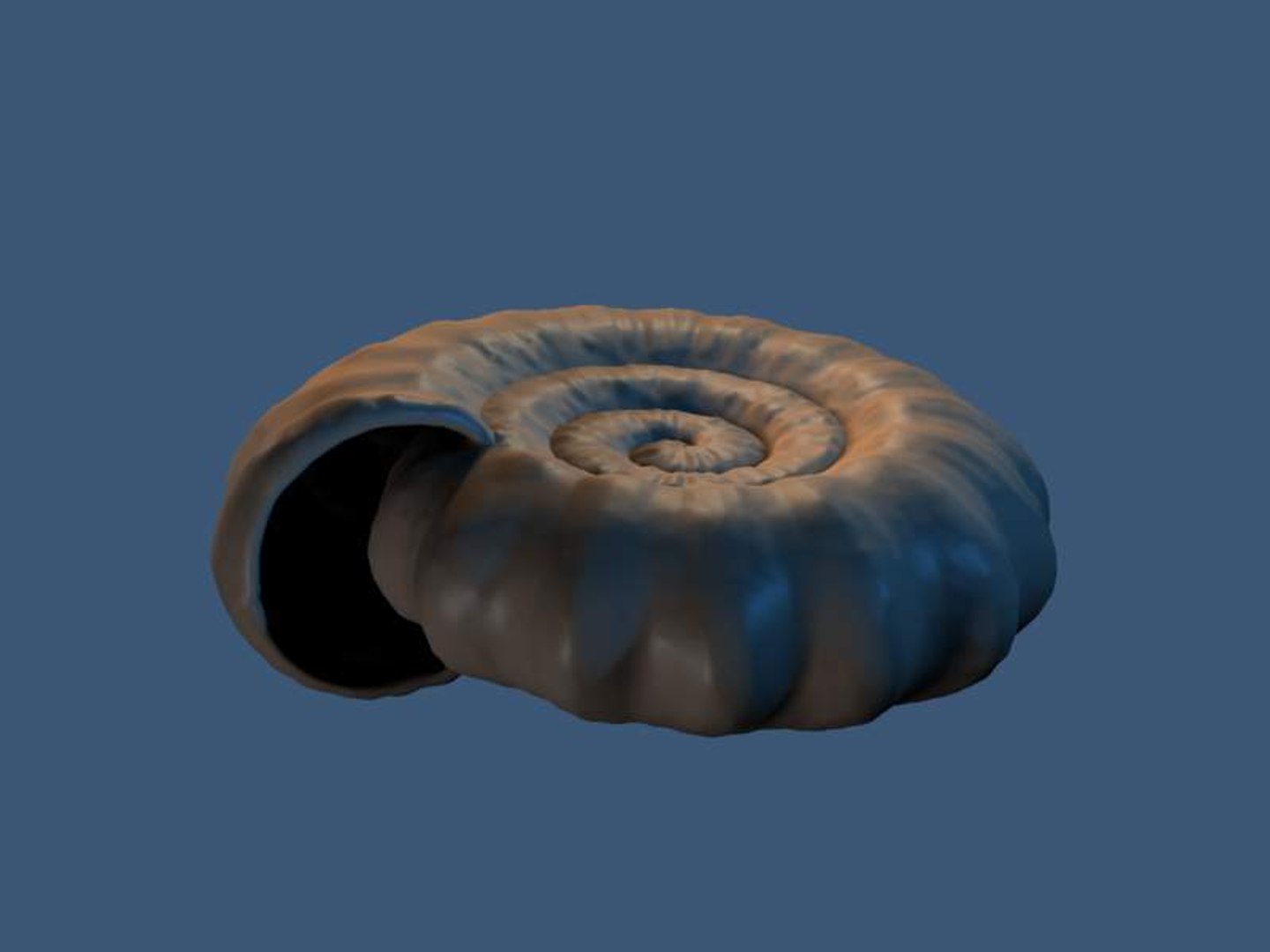3d Prehistoric Sea Shell