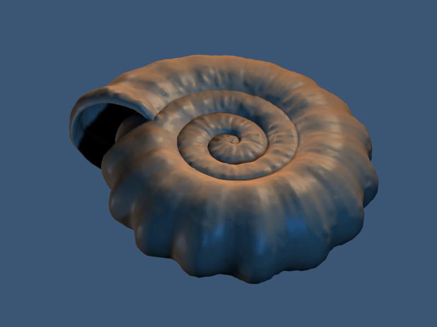 3d Prehistoric Sea Shell
