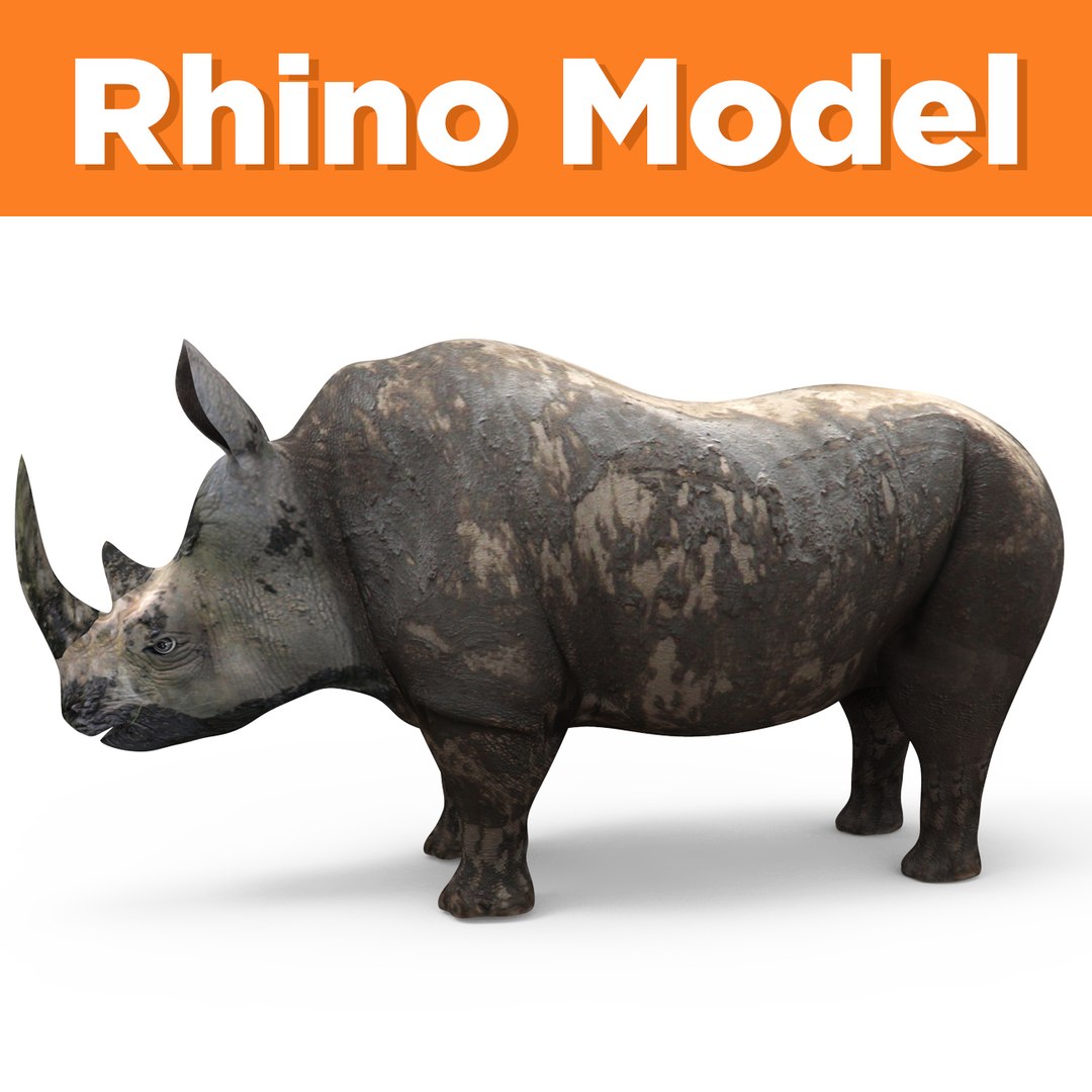 3D Realistic Rhino Model - TurboSquid 1264425
