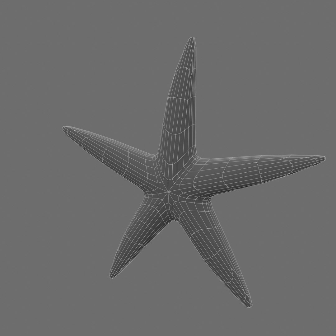 3D Low Poly Cartoon Starfish Model - TurboSquid 2380862