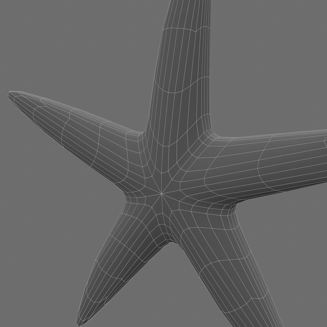 3D Low Poly Cartoon Starfish Model - TurboSquid 2380862
