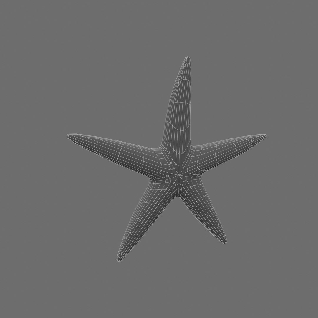 3D Low Poly Cartoon Starfish Model - TurboSquid 2380862