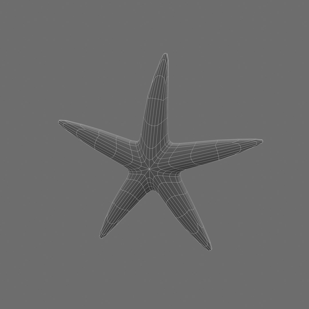 3D Low Poly Cartoon Starfish Model - TurboSquid 2380862