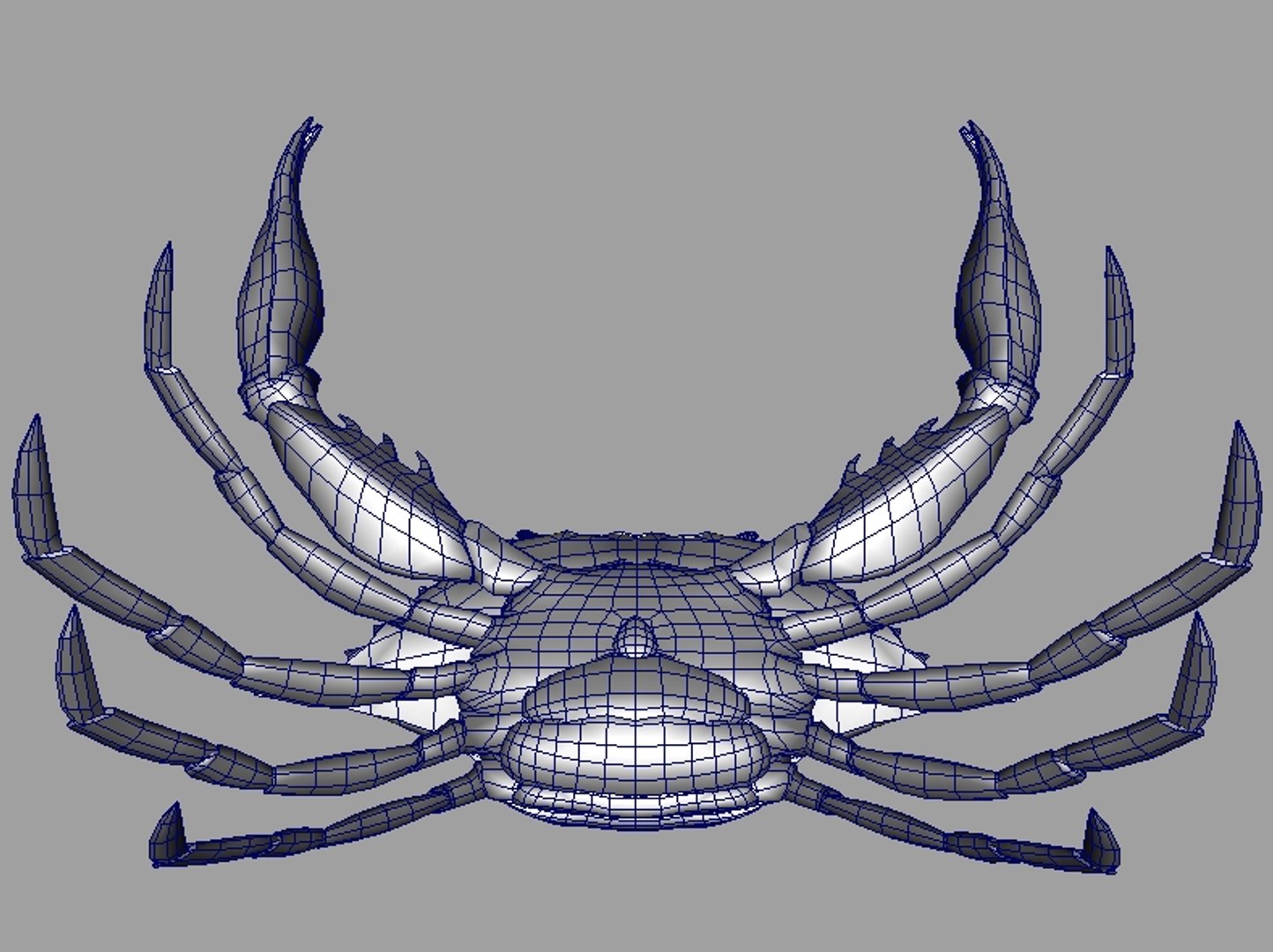 Maya Crab